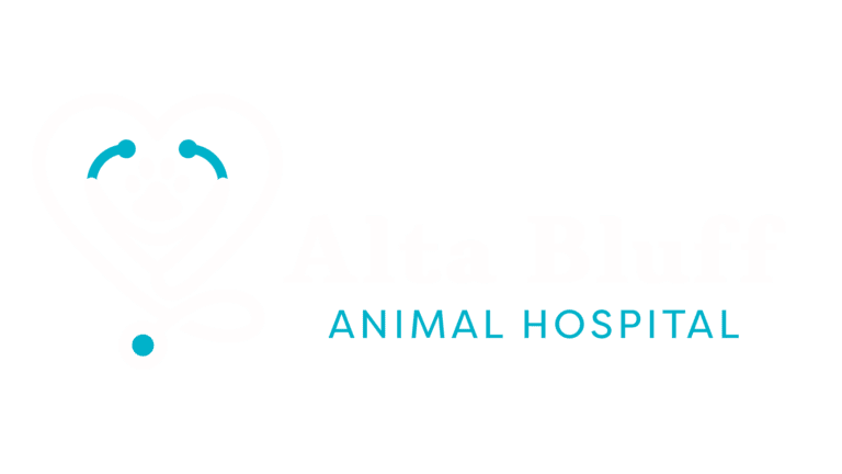 Meet Dedicated Veterinary Team - Alta Bluff Animal Hospital